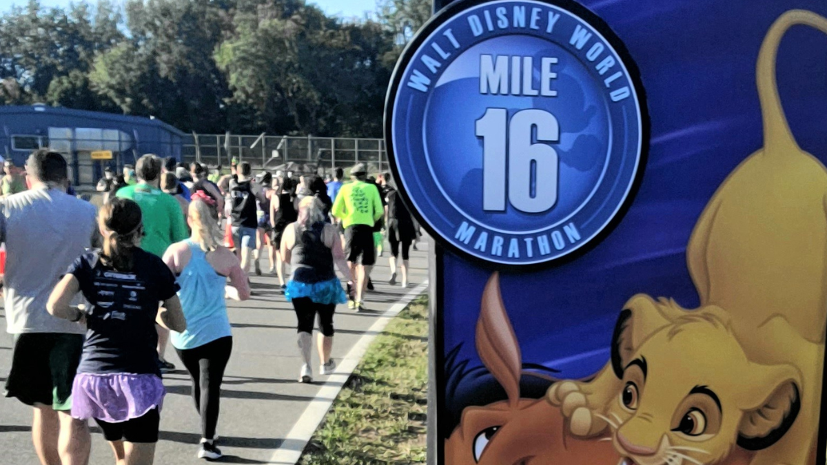 RunDisney: Race with a Little Magic - Destination DizN and Beyond